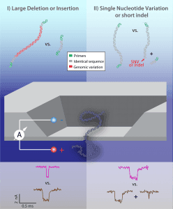 Nanopore Technology Can Identify Pathogen Types - Labcritics