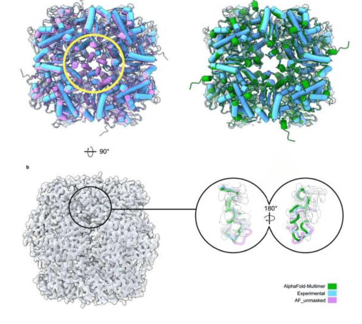 AlphaFold Evolved to Predict Large, Complex Proteins Using Experimental ...